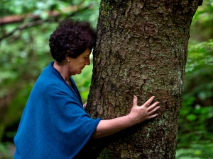 Waldtherapie Simonswald